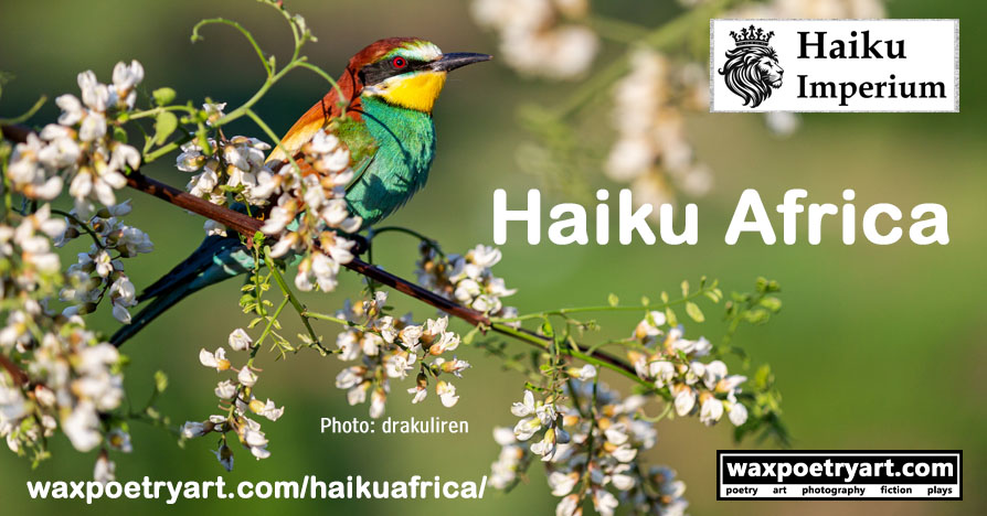 Haiku Africa – "Amethyst! beauty" (first line), Haiku by Asakiri Zen
