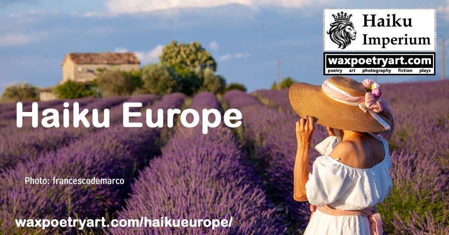 Haiku Europe – "wild ducks in the sky" (first line), Haiku by Marie Derley