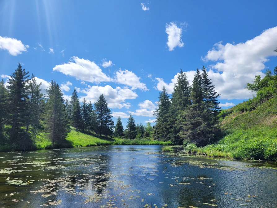 Wax Mag #9 - "Hiking in Nature", Photography by Louise Maksymetz