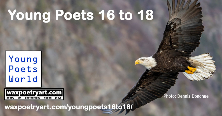 Young Poets 16 to 18 - "Craving for Change" by Nigella O'Connell